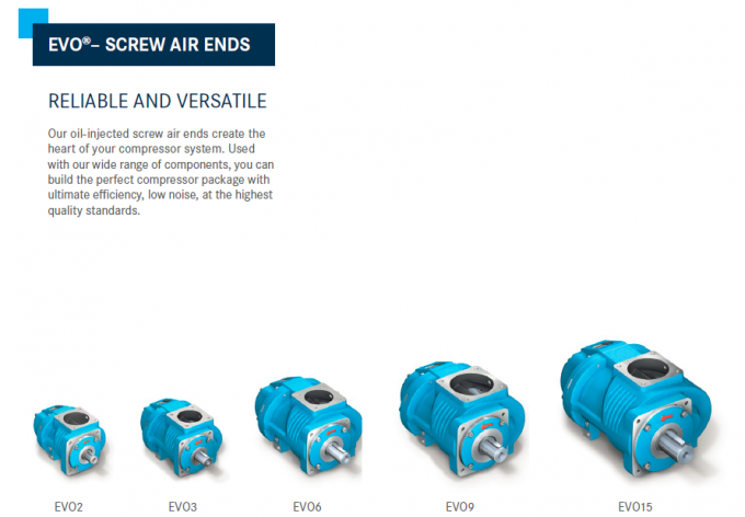 Oil Injected Screw Compressor Air End Quiet